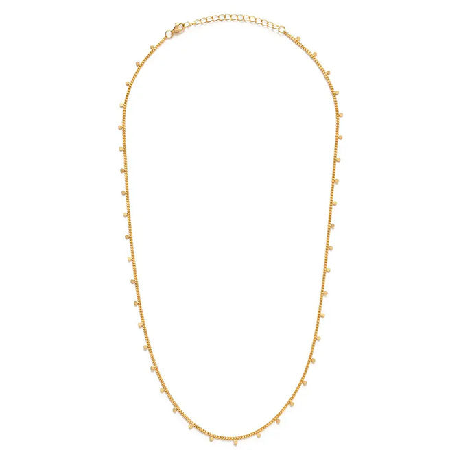 Tiny Dot Chain Necklace – Roost Gift & Home Collection