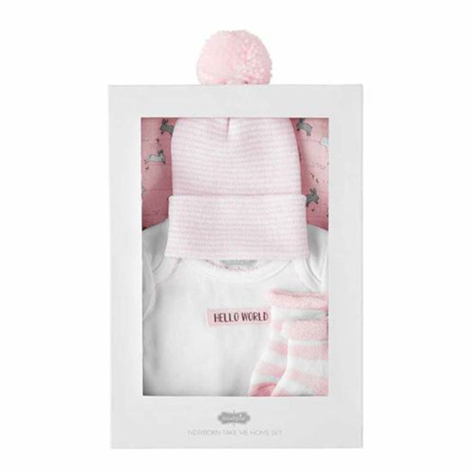 Pink Take-Me-Home Gift Set – Roost Gift & Home Collection